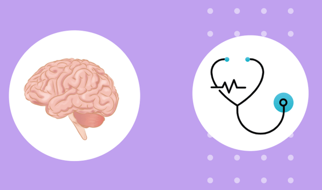 Dural Venous Sinuses of Brain | World Health Support 24/7