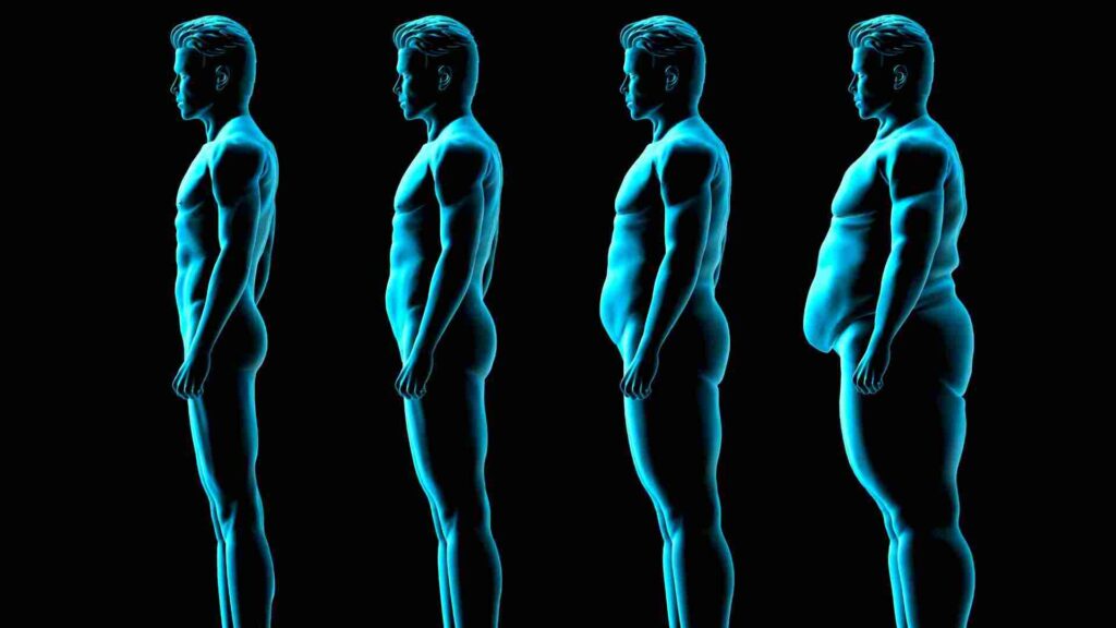 what-is-endomorph-body-type-international-health-24